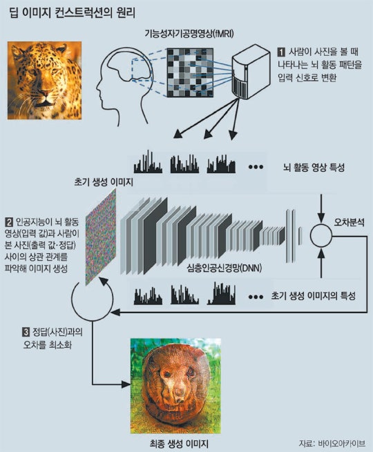 뉴스 사람이 본 장면을 뇌 스캔으로 인공지능이 그대로 그려줌